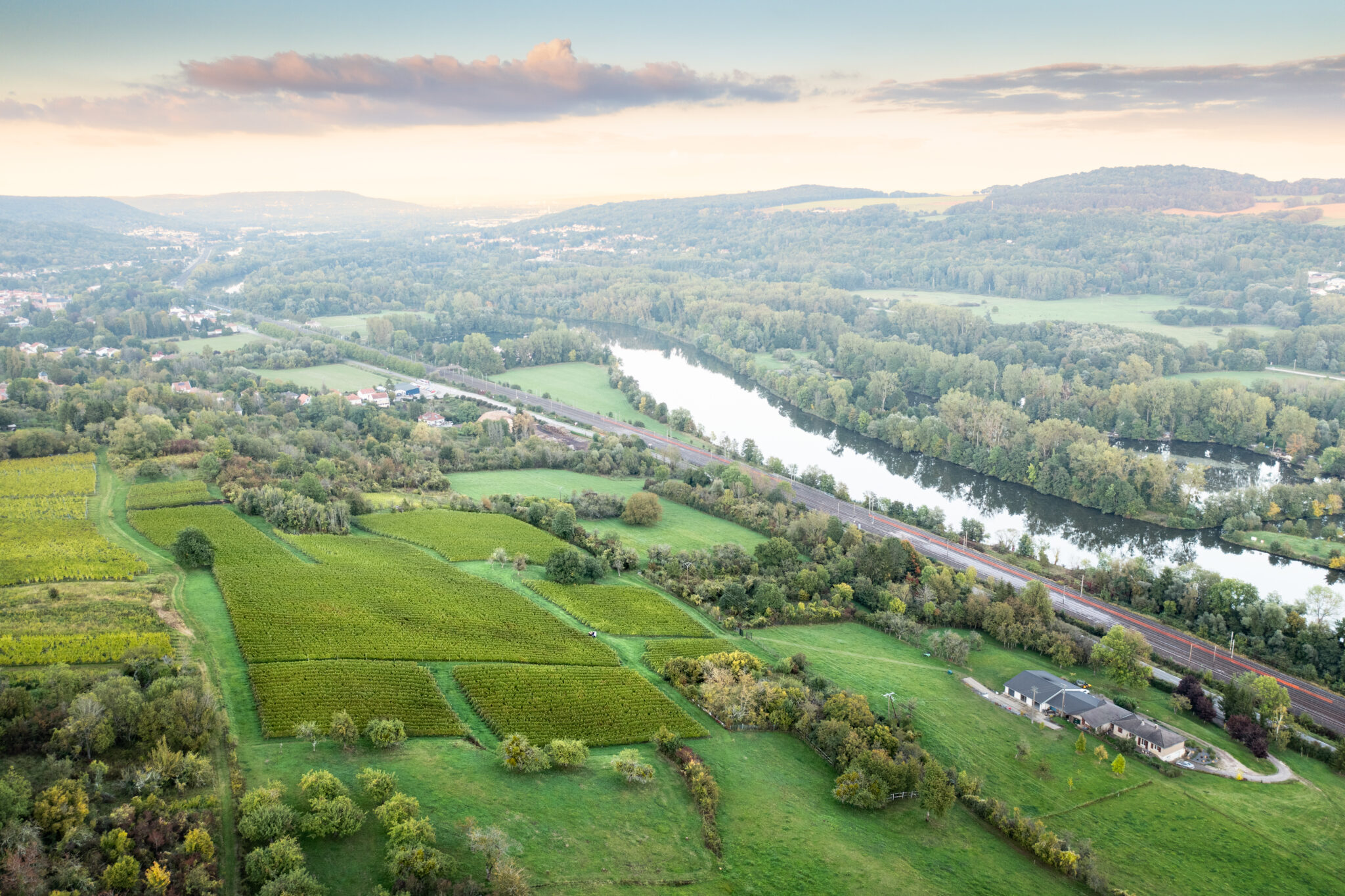 Accueil - Vins de Lorraine